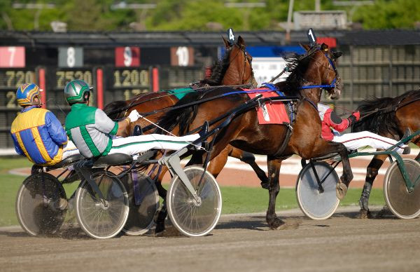 How Do Harness Racing Bets Work? - TheHorseBet.com